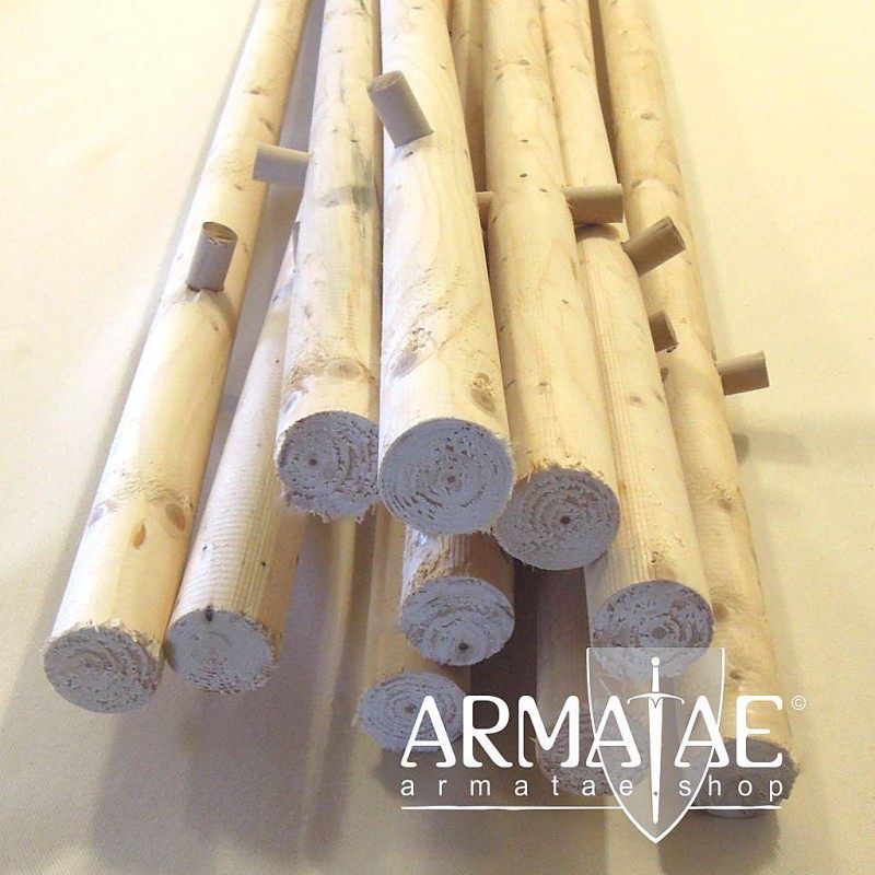 🟢 Ritterzelt Set Alexander Achteck Ø 3 m & Vordach FREI HAUS Ritterzelt ...